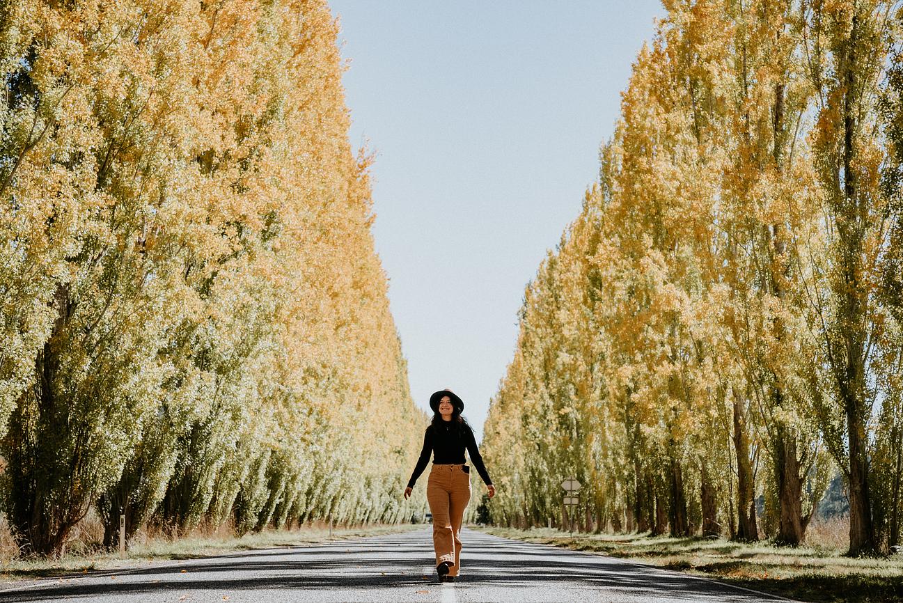 Gould Memorial Drive | Riparide