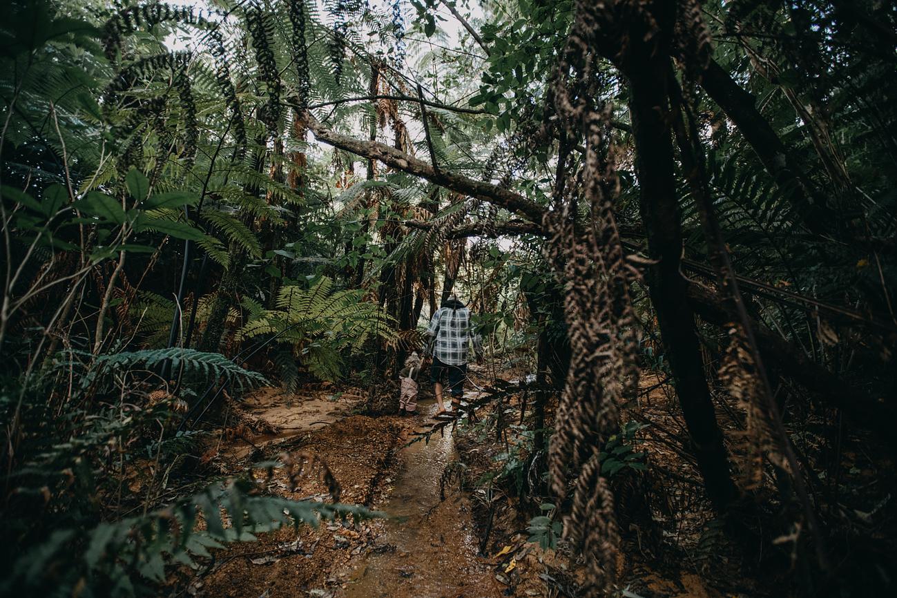 Ground Yourself in Nature - Adventure by Charlotte in Auckland, NZ | Riparide