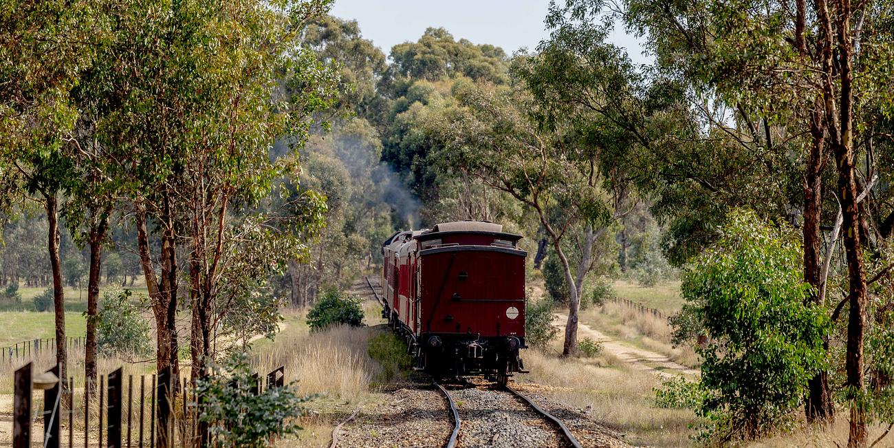Among the Gum Trees - Adventure by Melissa in Castlemaine, Goldfields, VIC, AU | Riparide