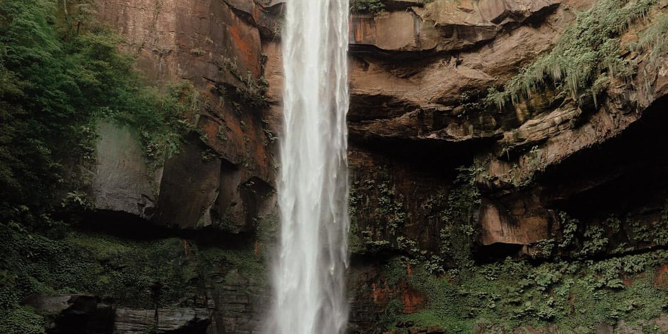 In the Canopy - Adventure by Maddi in Kangaroo Valley, South Coast, NSW, AU | Riparide