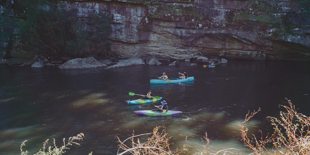 In the Canopy - Adventure by Maddi in Kangaroo Valley, South Coast, NSW, AU | Riparide