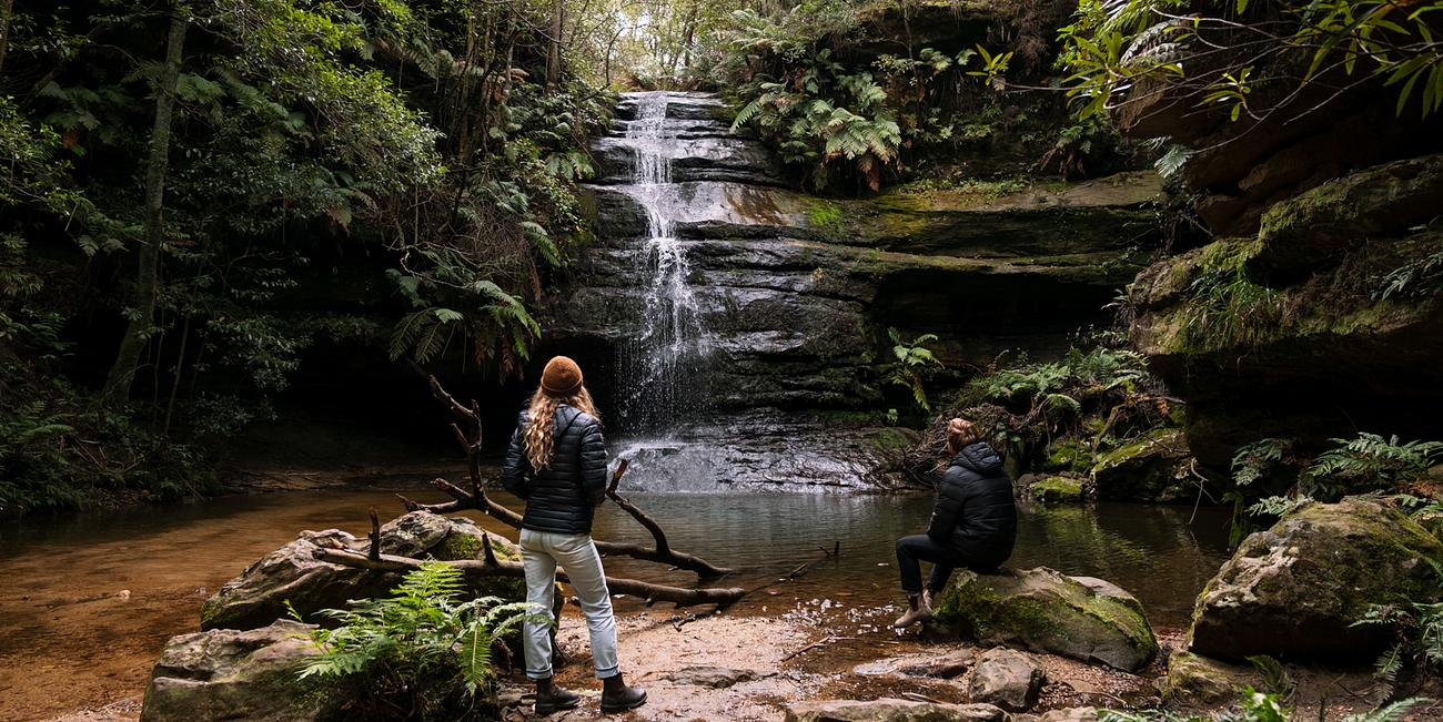 Amongst the Trees - Adventure by Jade in Leura, Blue Mountains, NSW, AU ...