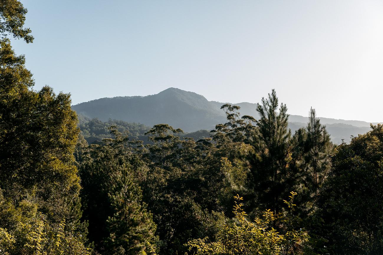 Exploring the Property | Riparide