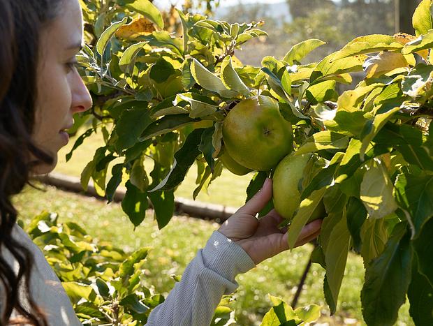 Magical Mt Ida - Adventure by Daniel in Heathcote, Goldfields, VIC, AU ...