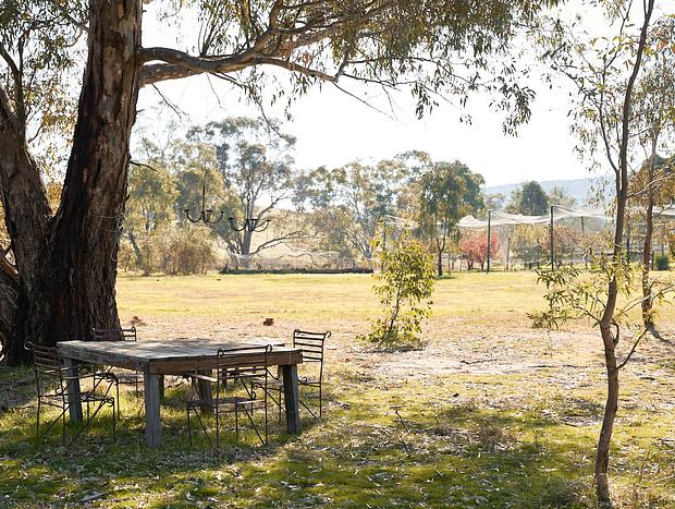 Magical Mt Ida - Adventure by Daniel in Heathcote, Goldfields, VIC, AU ...