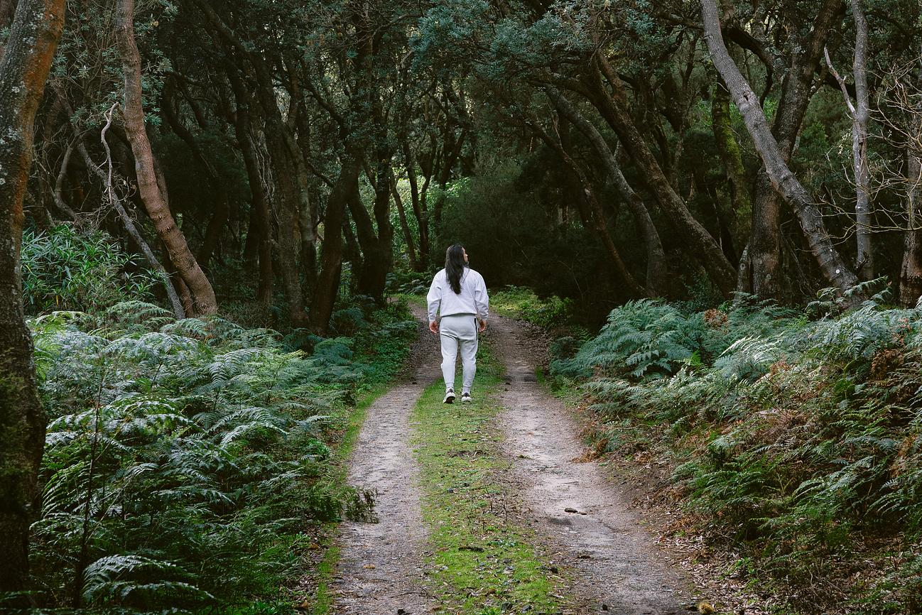 Native Forest | Riparide