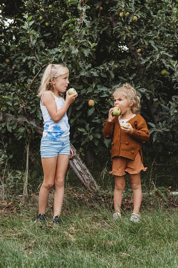 Orchard Fun | Riparide