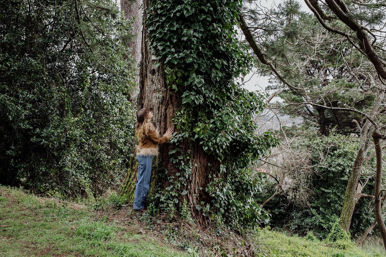 Wombat Hill Botanic Gardens | Riparide