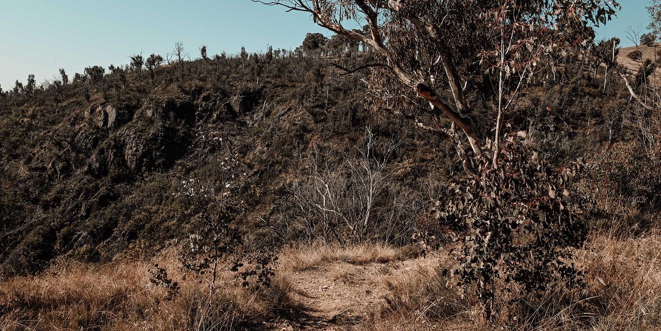 Mountains of Contentment - Adventure by Saskia in Cobungra, High Country, VIC, AU | Riparide