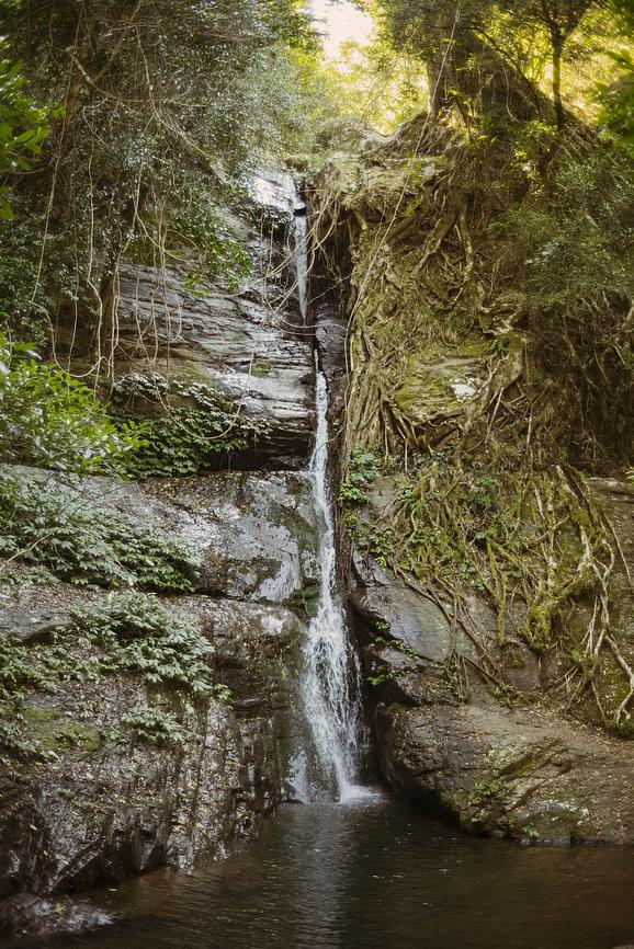 Hike mount Murray | Riparide