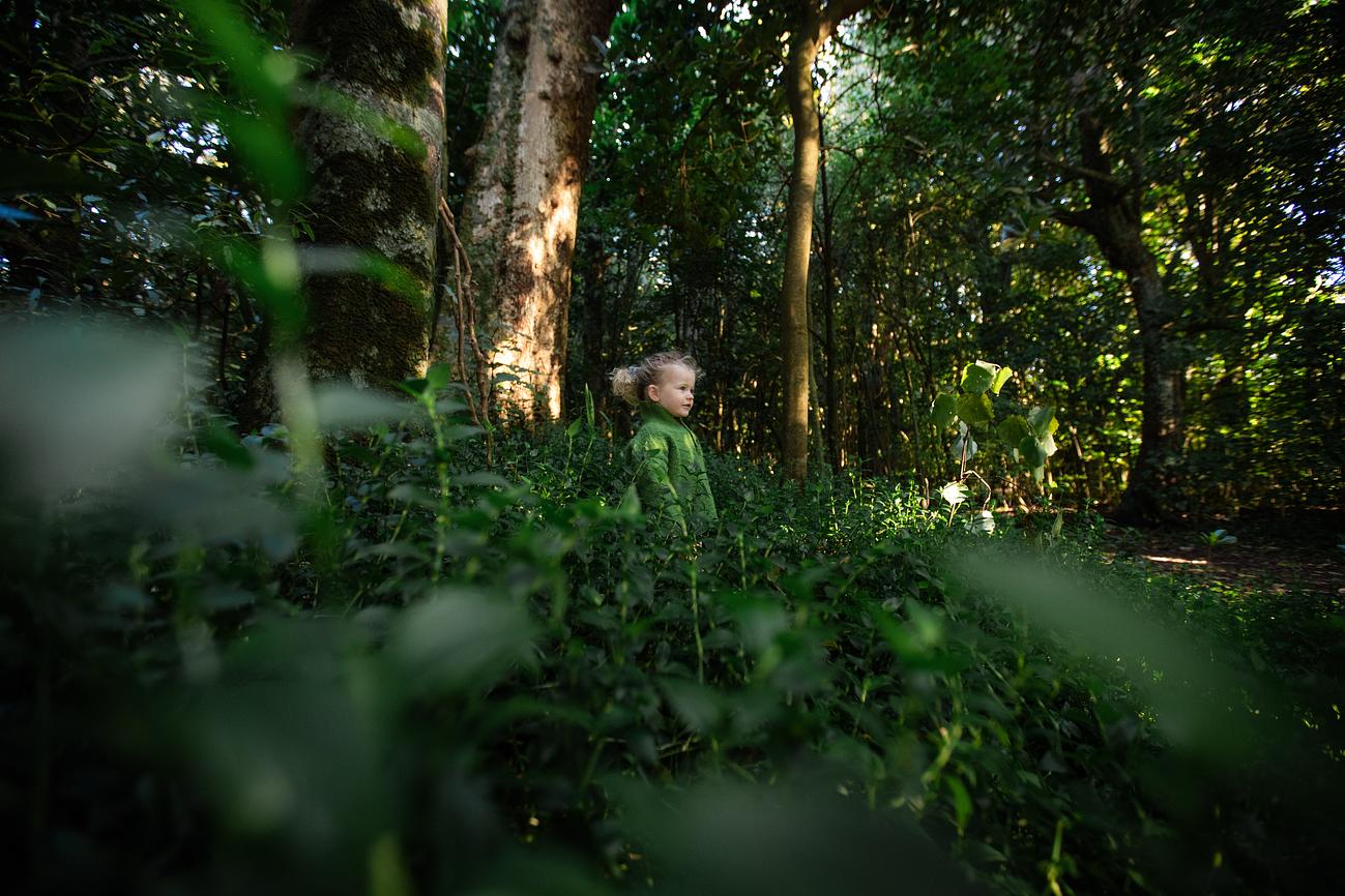 Mountain Magic - Adventure by Charlotte in Taranaki, NZ | Riparide