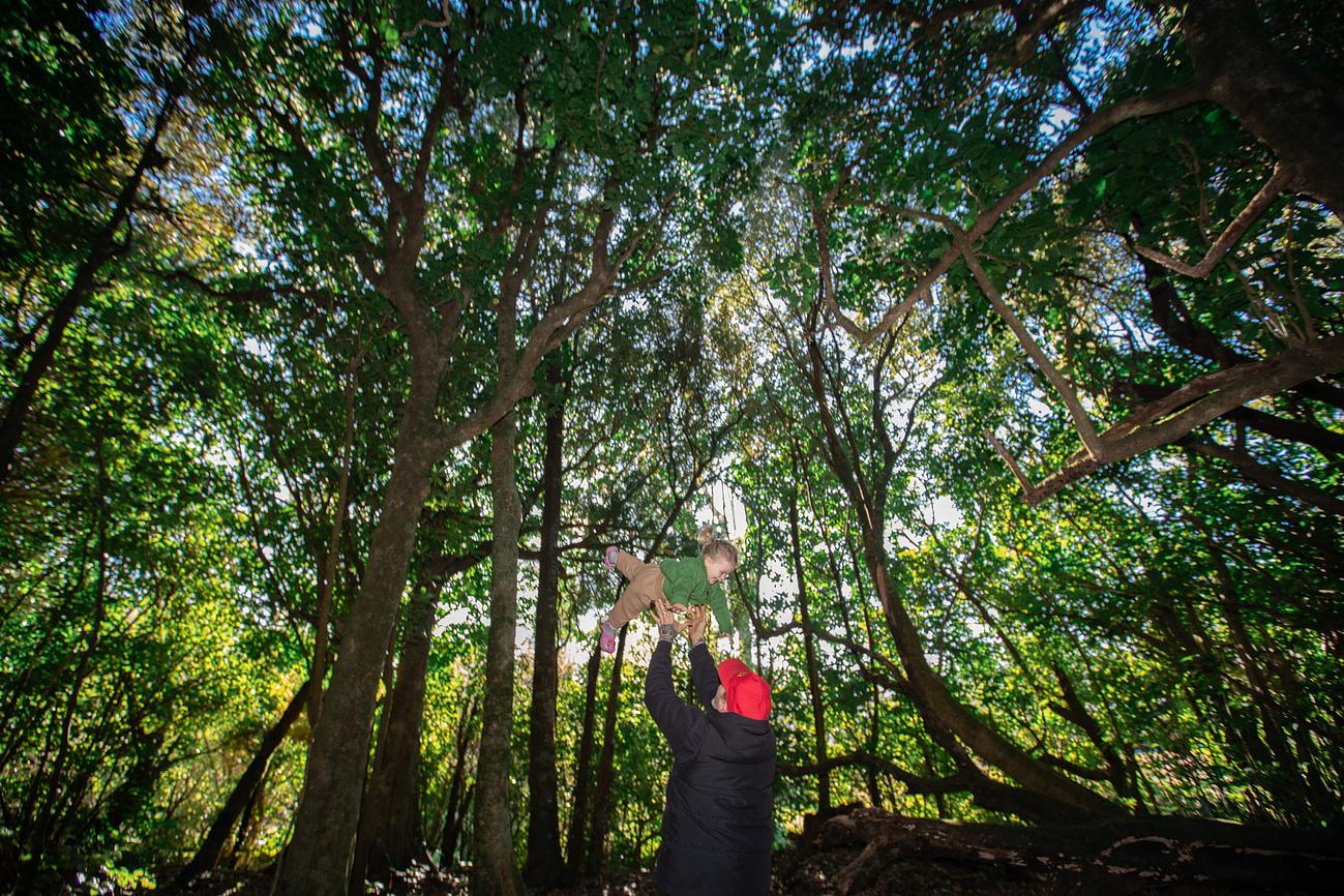 Mountain Magic - Adventure by Charlotte in Taranaki, NZ | Riparide