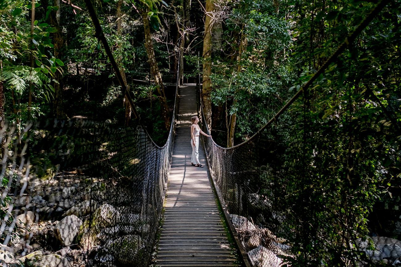 Minnamurra Falls Walk | Riparide