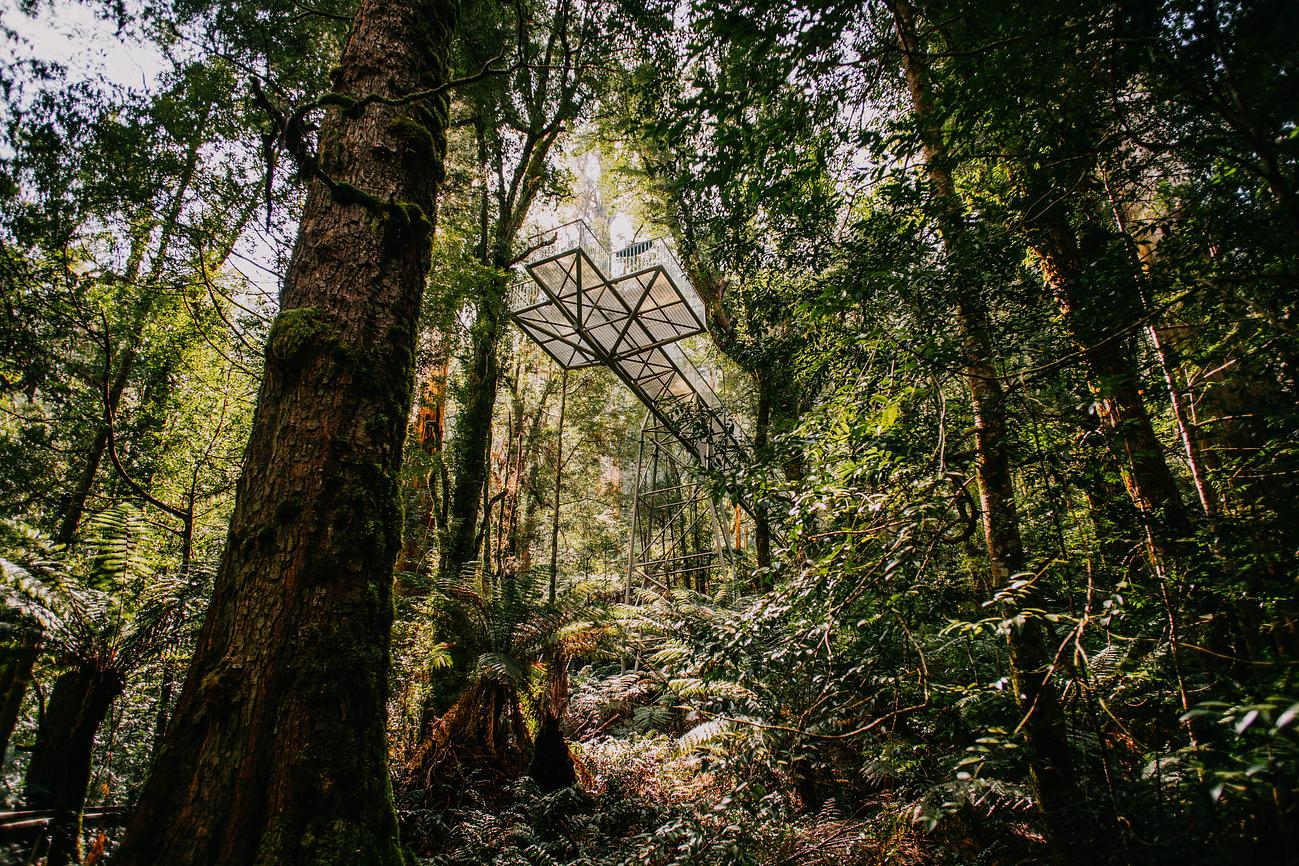 Mount Tugwell Tiny House - Tiny house for Rent in Gladysdale, Yarra Valley, VIC, AU | Riparide