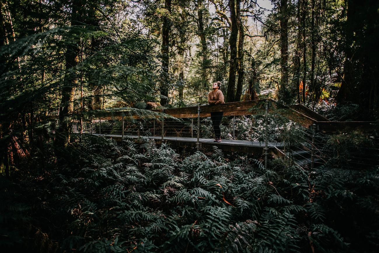 Mount Tugwell Tiny House - Tiny house for Rent in Gladysdale, Yarra Valley, VIC, AU | Riparide