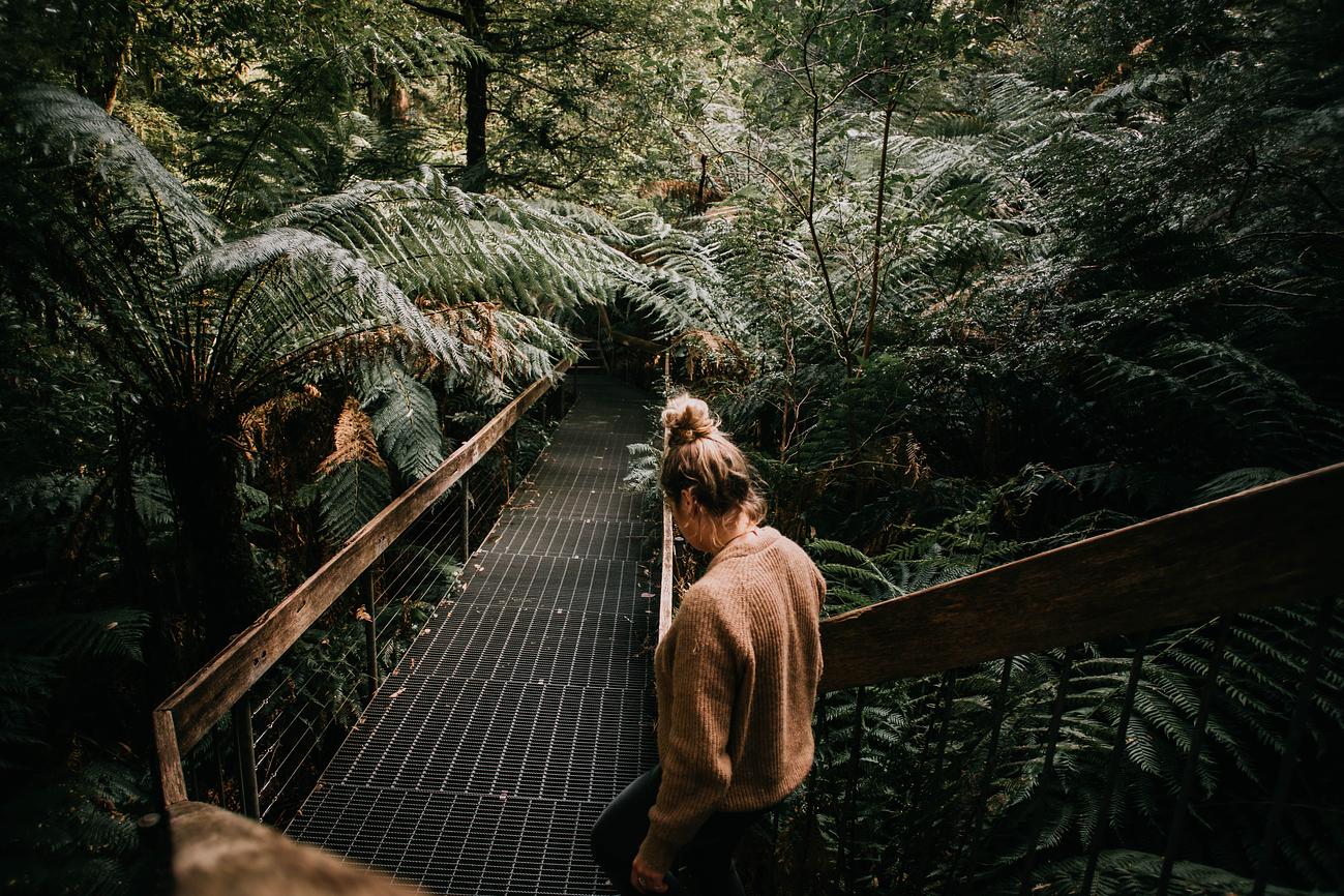 Mount Tugwell Tiny House - Tiny house for Rent in Gladysdale, Yarra Valley, VIC, AU | Riparide