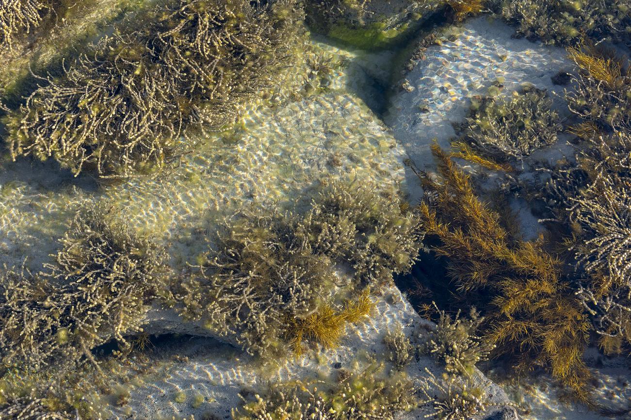 Epic Ocean Sanctuary - Adventure by Melissa in Wye River, Great Ocean Road, VIC, AU | Riparide