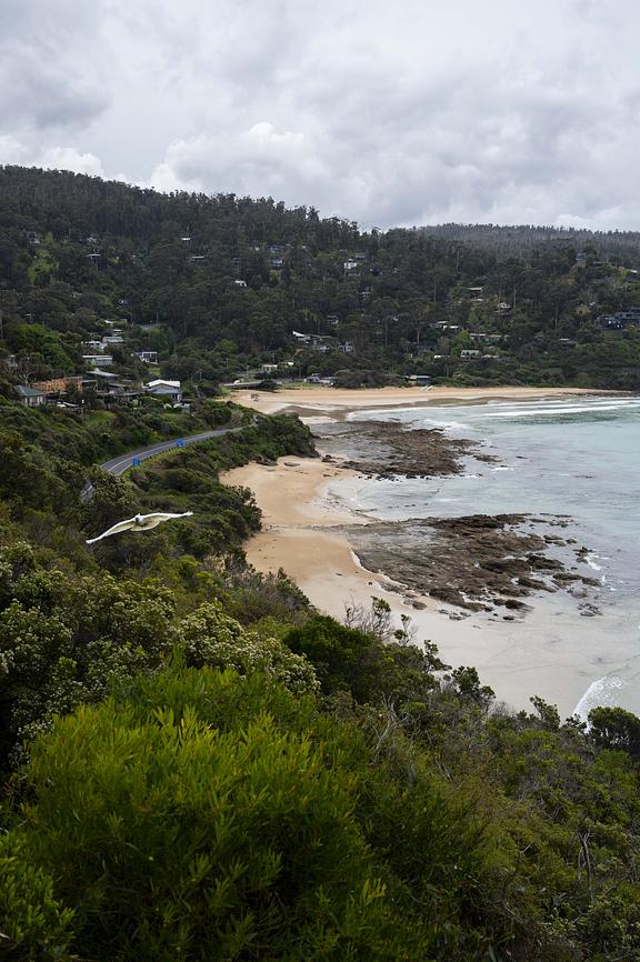 Epic Ocean Sanctuary - Adventure by Melissa in Wye River, Great Ocean Road, VIC, AU | Riparide