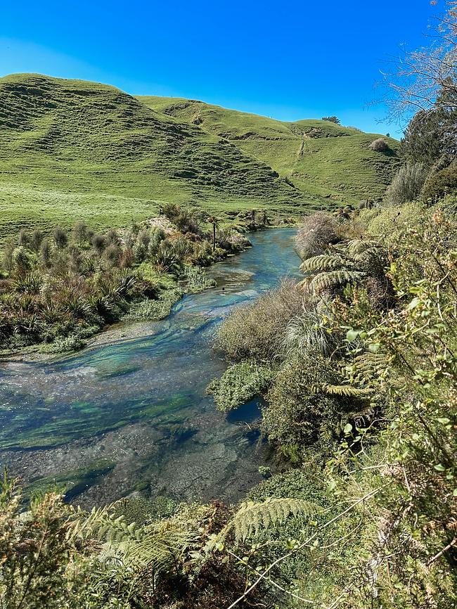 Putauru Blue Springs | Riparide