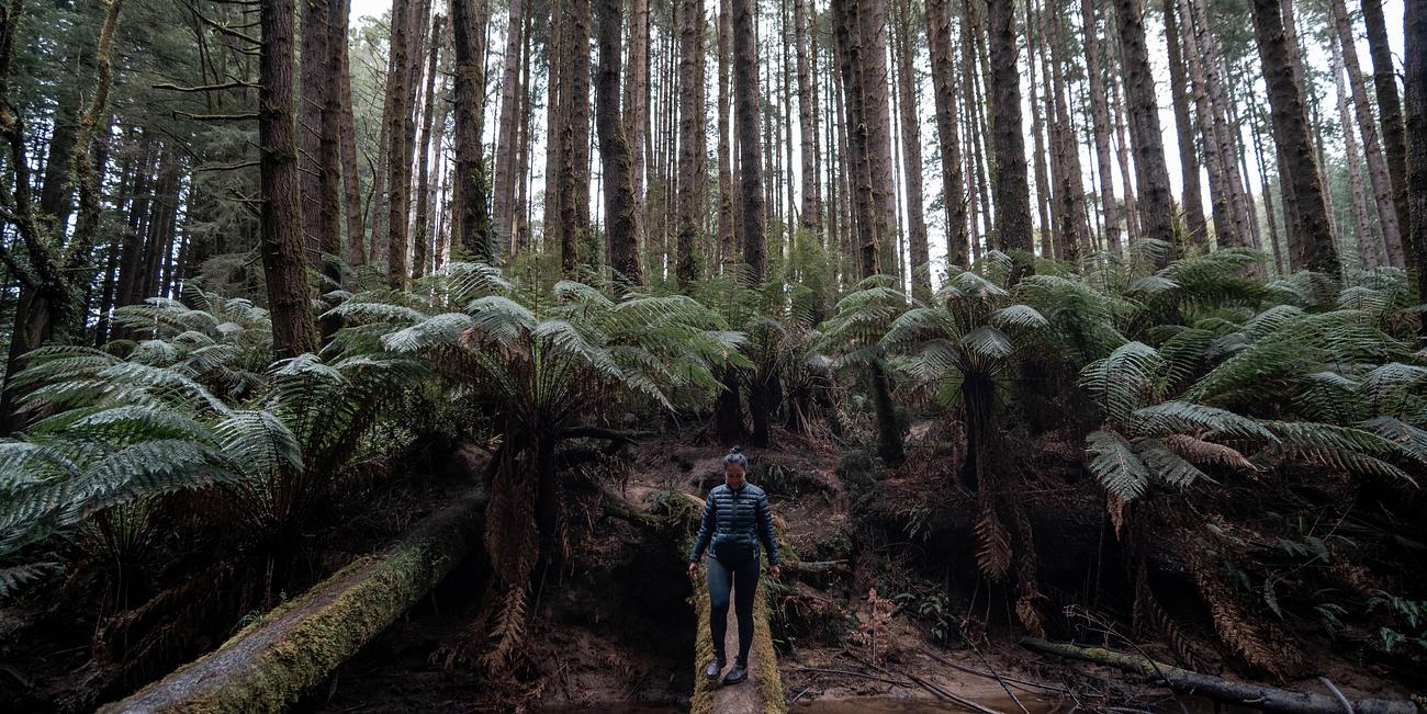 Hideaway Hills - Adventure by Matthew in Apollo Bay, Great Ocean Road ...