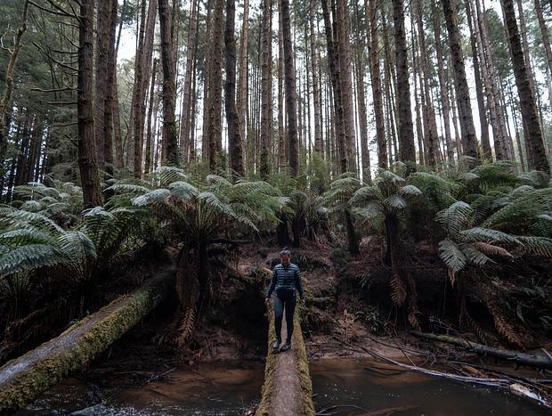 Hideaway Hills - Adventure by Matthew in Apollo Bay, Great Ocean Road, VIC, AU | Riparide