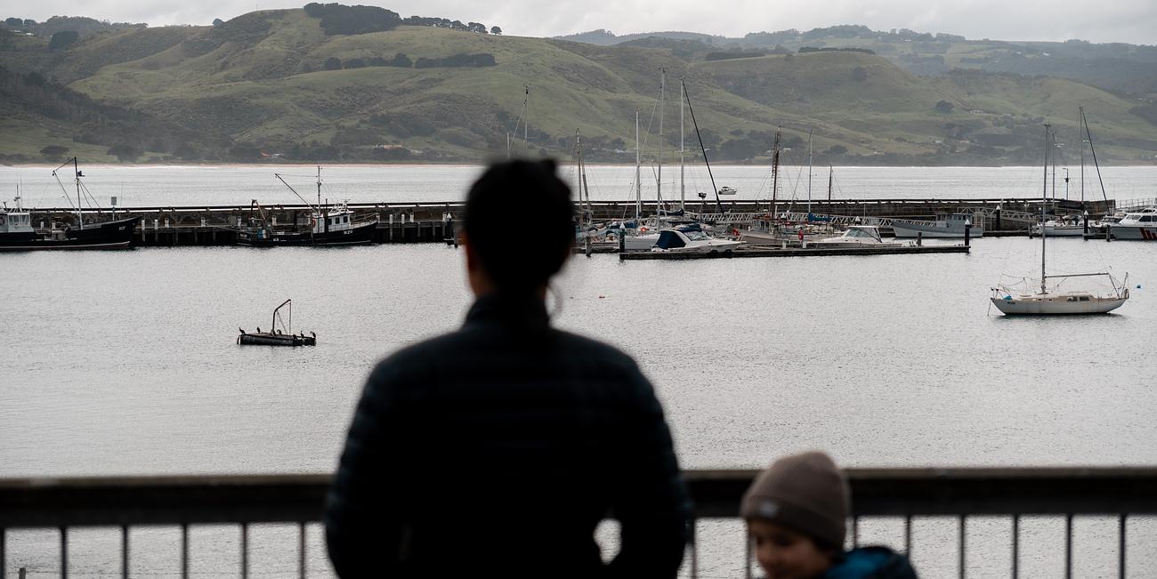 Hideaway Hills - Adventure by Matthew in Apollo Bay, Great Ocean Road, VIC, AU | Riparide