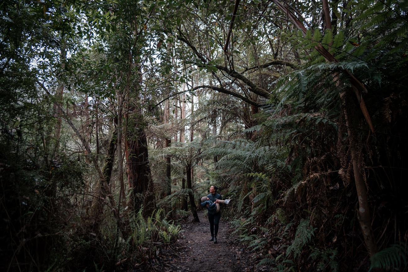 Hideaway Hills - Adventure by Matthew in Apollo Bay, Great Ocean Road, VIC, AU | Riparide