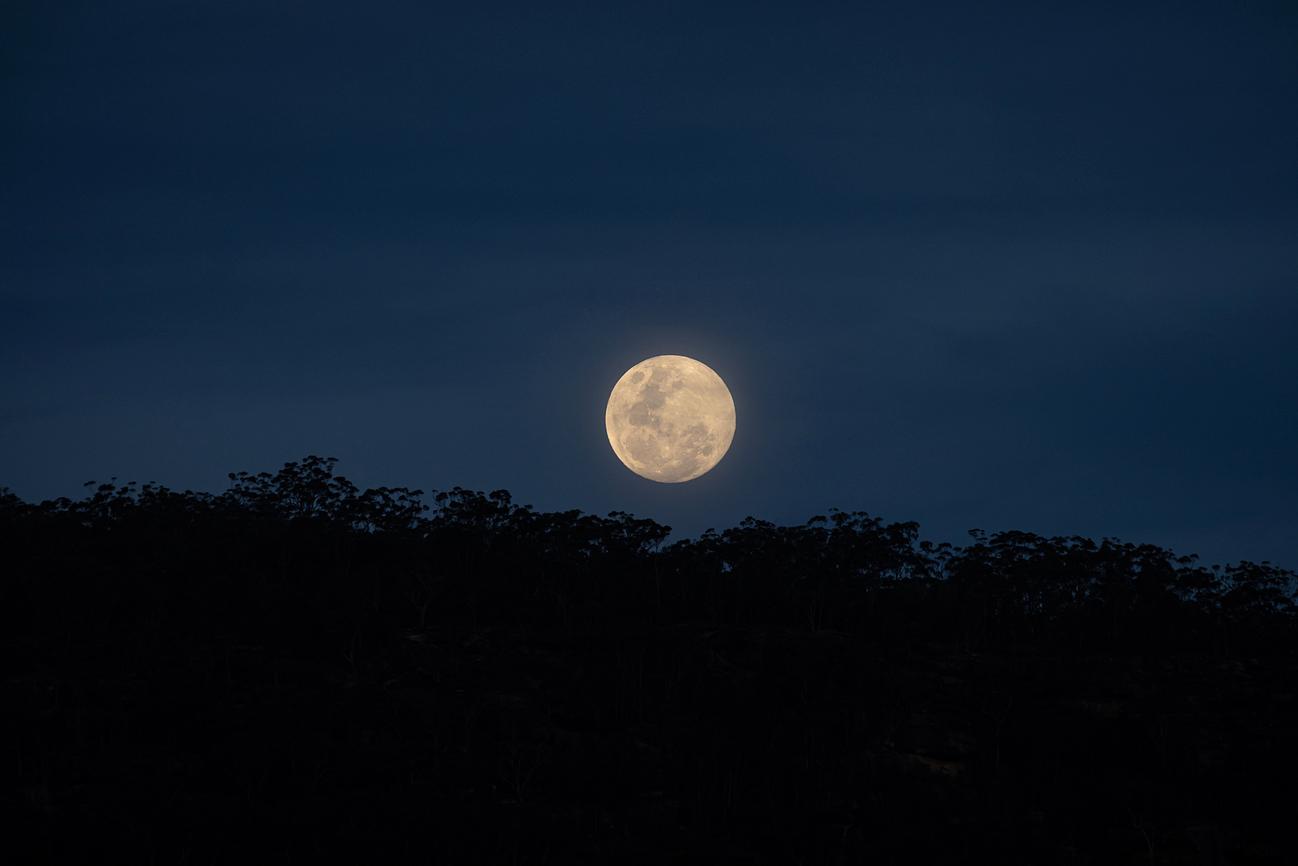 Full Moon Gazing | Riparide