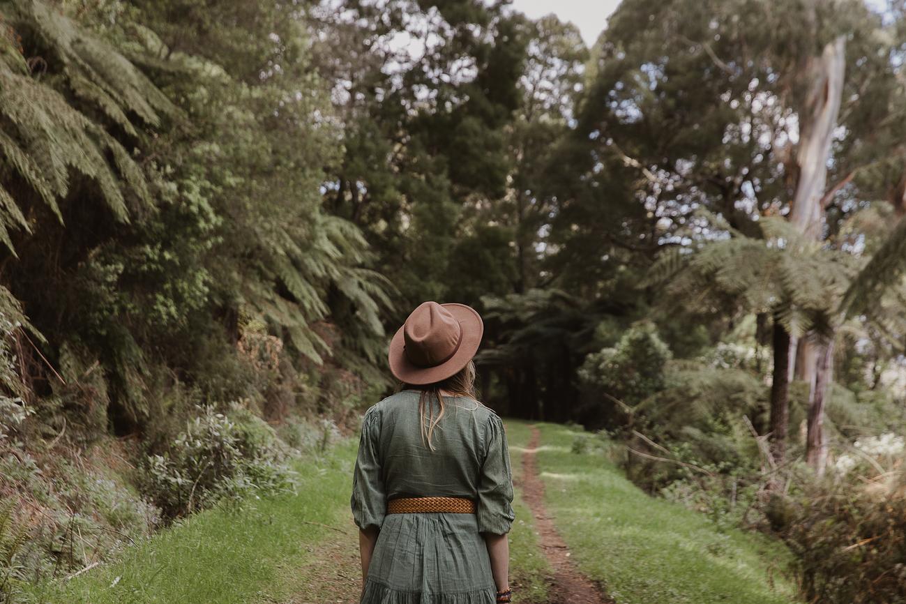 Walk the O'Shannassy Aqueduct Trail | Riparide