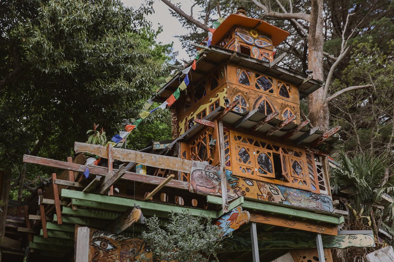 Admire Boinga Bob's Treehouse | Riparide