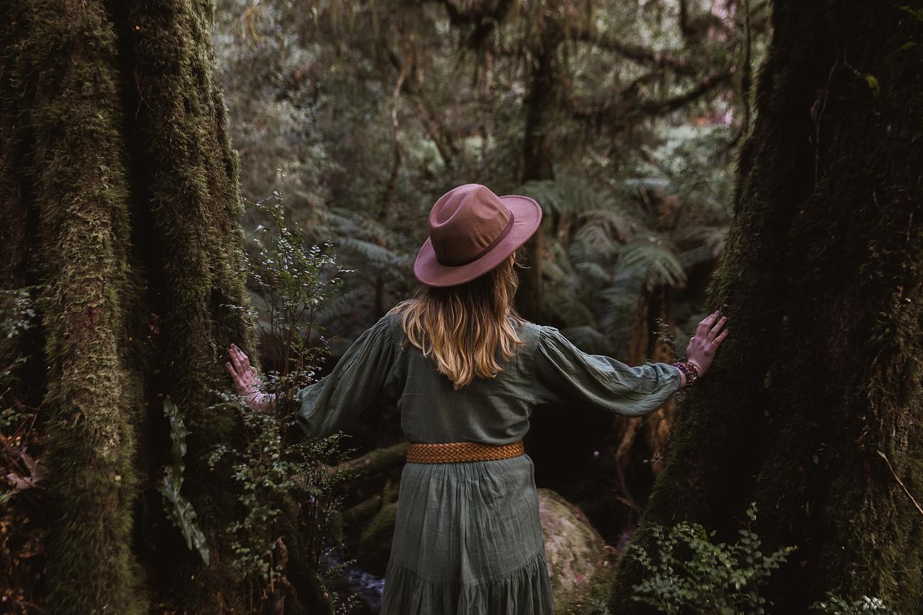 Wander through Rainforest Gallery | Riparide