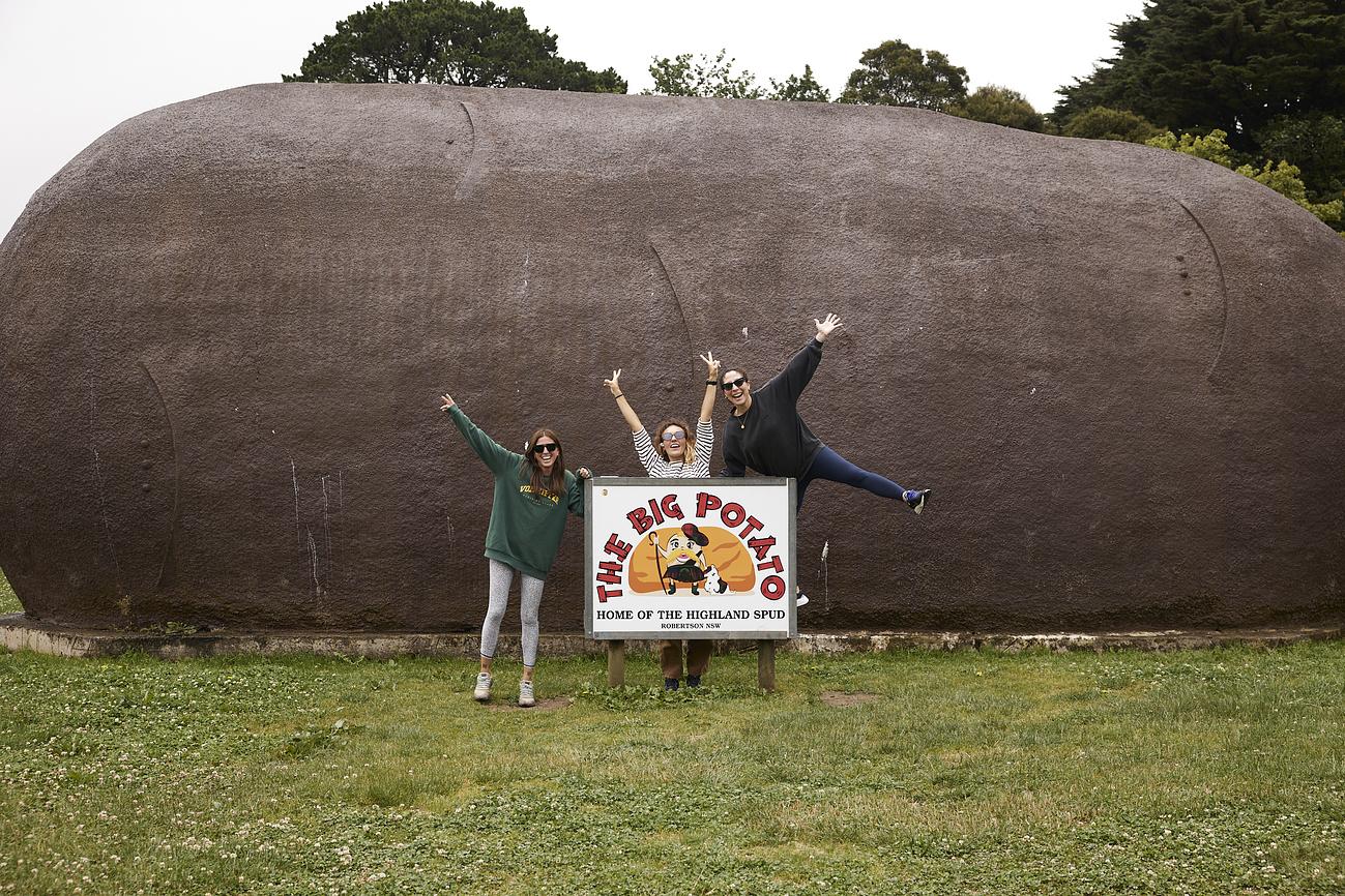 The Big Potato | Riparide