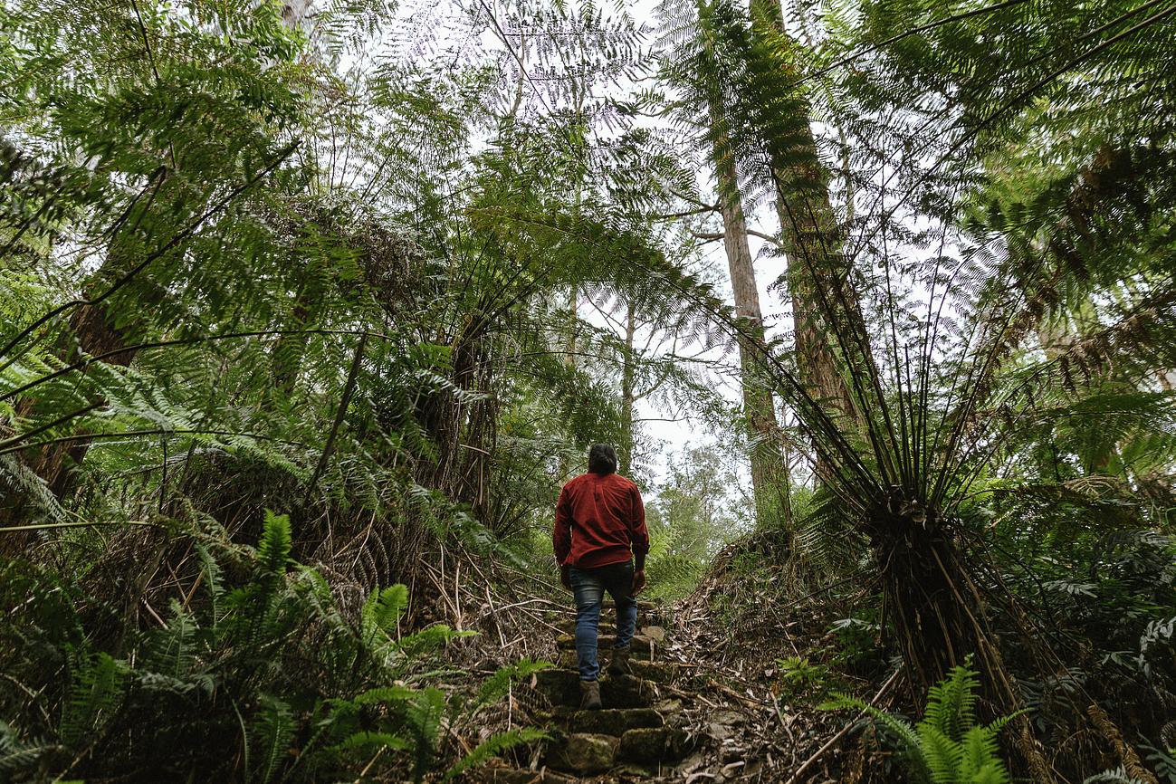 Trail by the property | Riparide