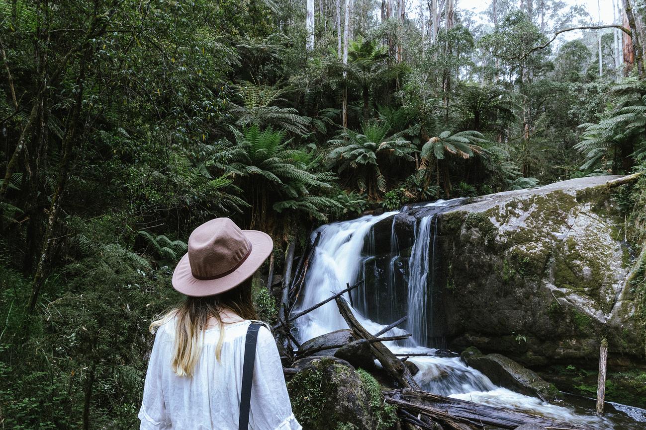 Toorongo and Amphitheatre Falls | Riparide