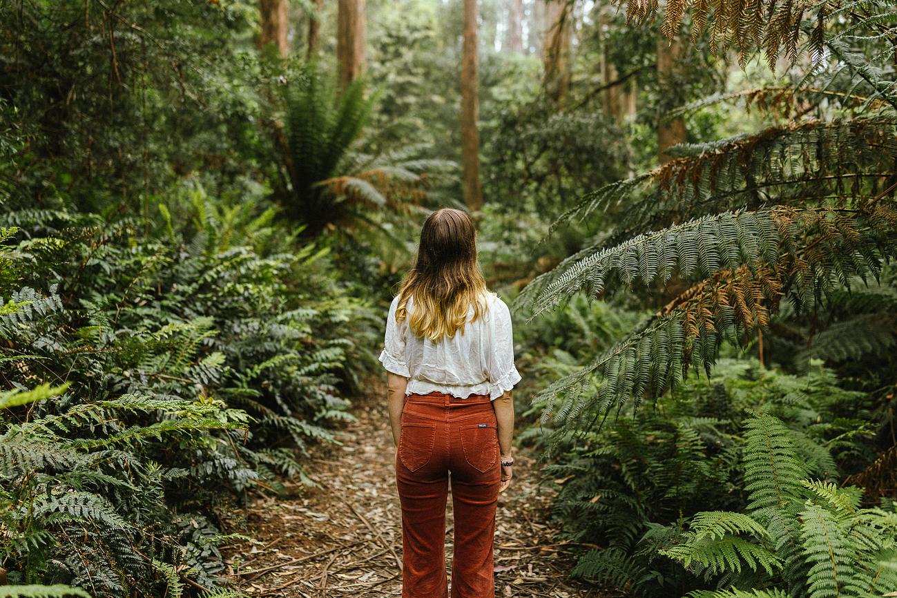 Walk into History Trail | Riparide