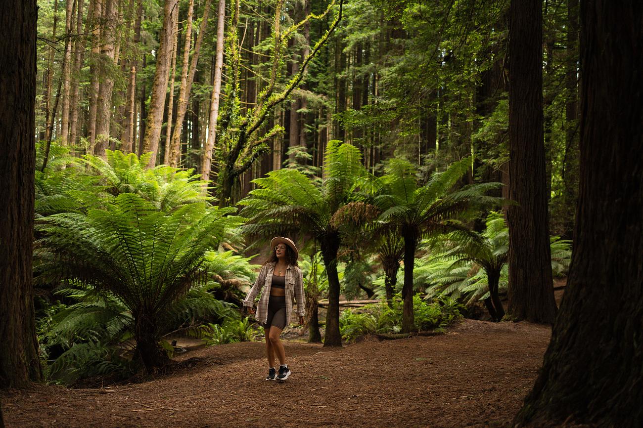 Rainforest escape in the Otways - Adventure by Justine in Gellibrand, Great Ocean Road, VIC, AU ...