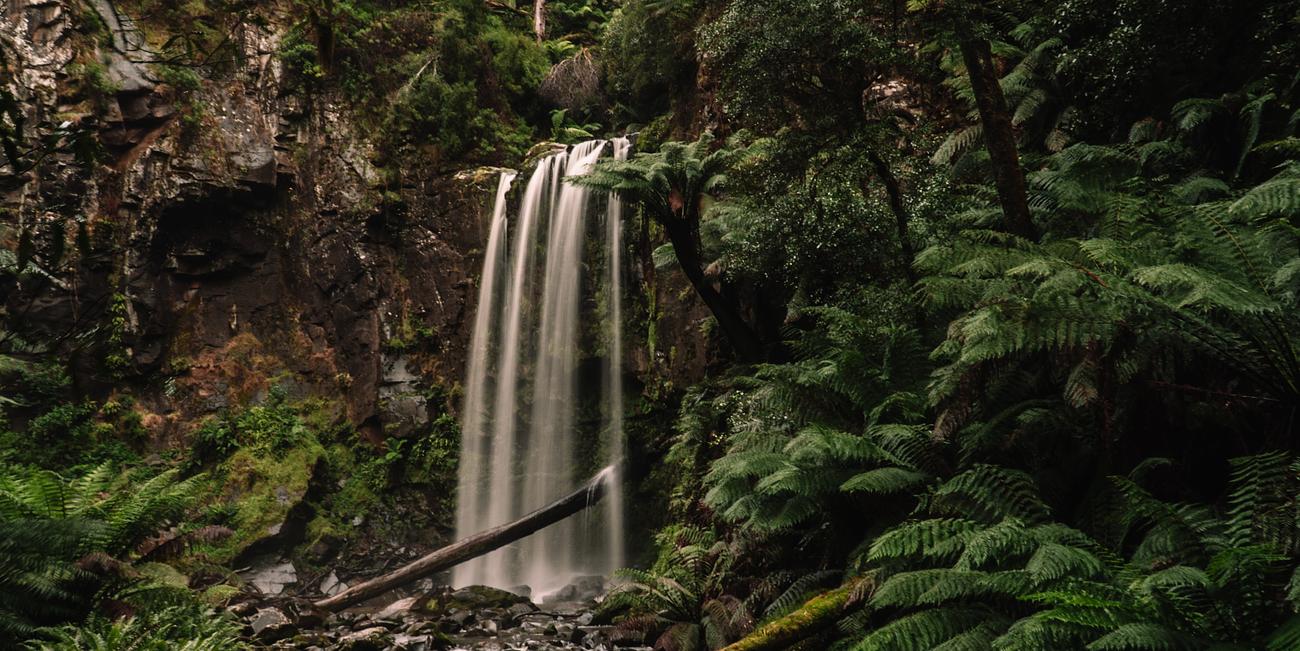 Rainforest escape in the Otways - Adventure by Justine in Gellibrand ...