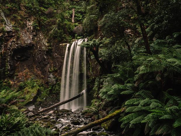 Rainforest escape in the Otways - Adventure by Justine in Gellibrand ...