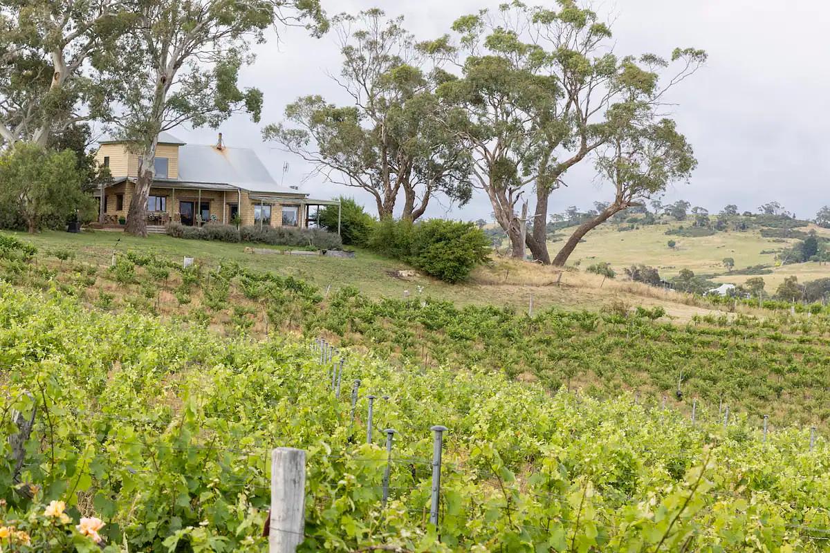 Big Vine House at Zig Zag Winery - Farm for Rent in Drummond North, Macedon Ranges, VIC, AU ...