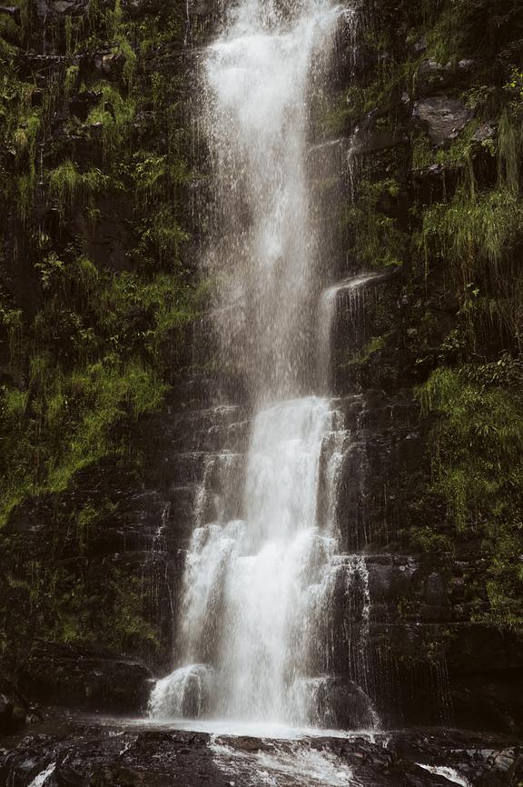 Tree House in the Otways - Adventure by Neisha in Pennyroyal, Great ...