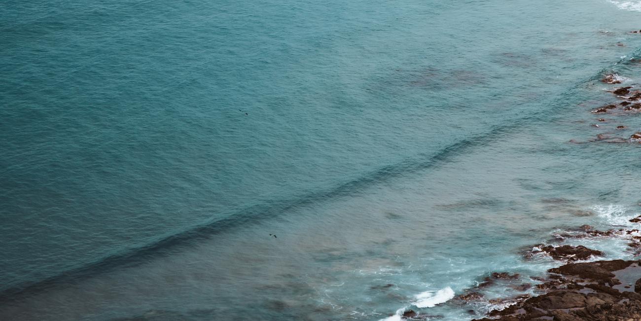 Tree House in the Otways - Adventure by Neisha in Pennyroyal, Great Ocean Road, VIC, AU | Riparide