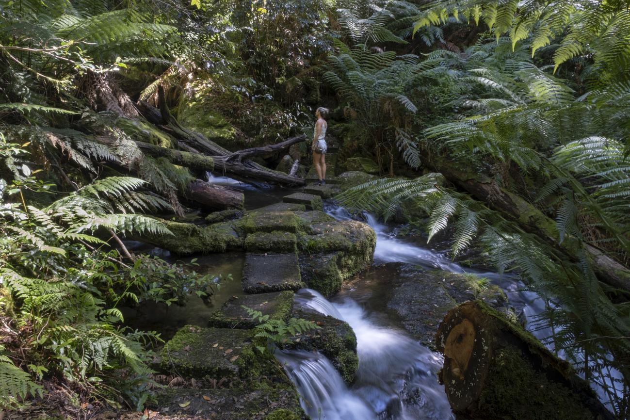 Riverside Vibes - Adventure by Luke in Cobark, Country NSW, NSW, AU ...
