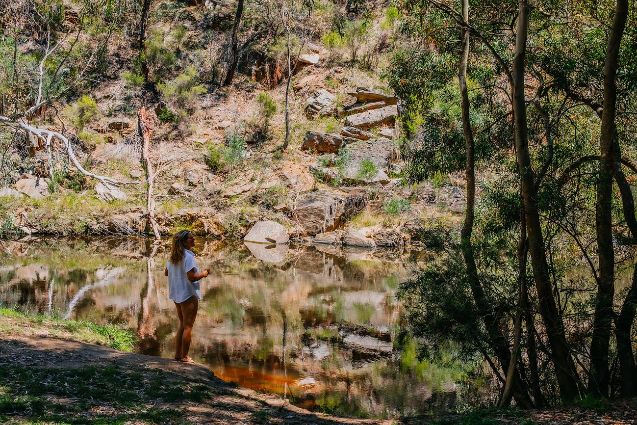 BBQ lunch and Swim | Riparide