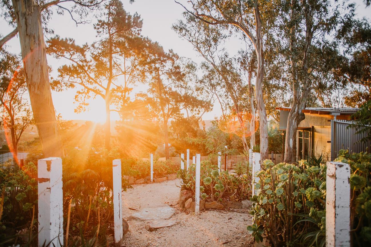 Garden Wonder | Riparide