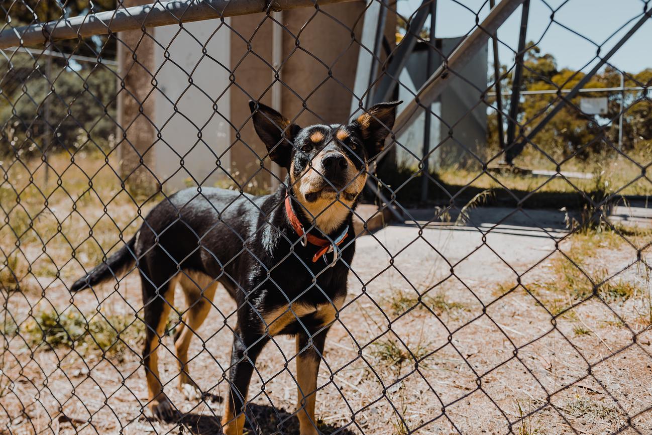 Serenity with a view - Adventure by Cameron in Reedy Creek, Macedon Ranges, VIC, AU | Riparide