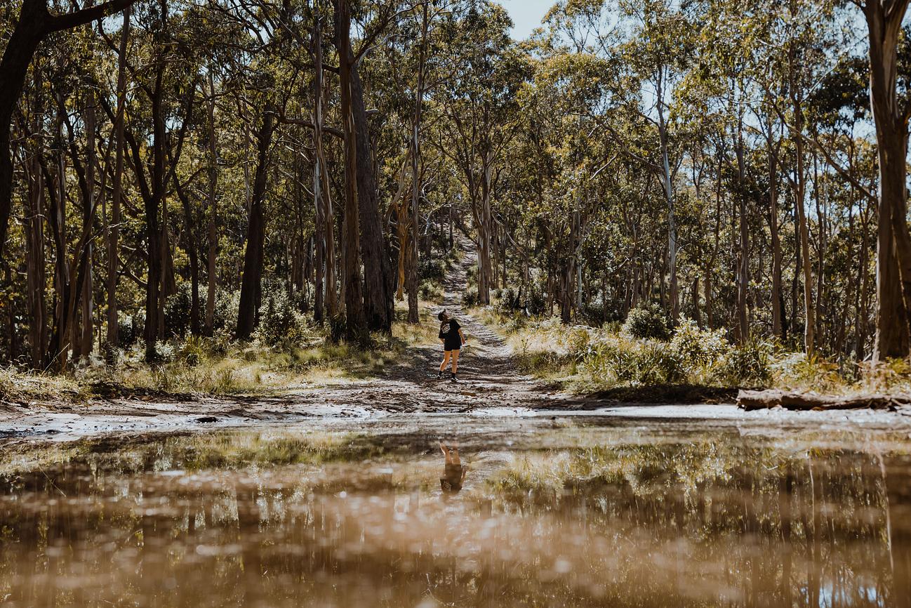 Mountain Track | Riparide
