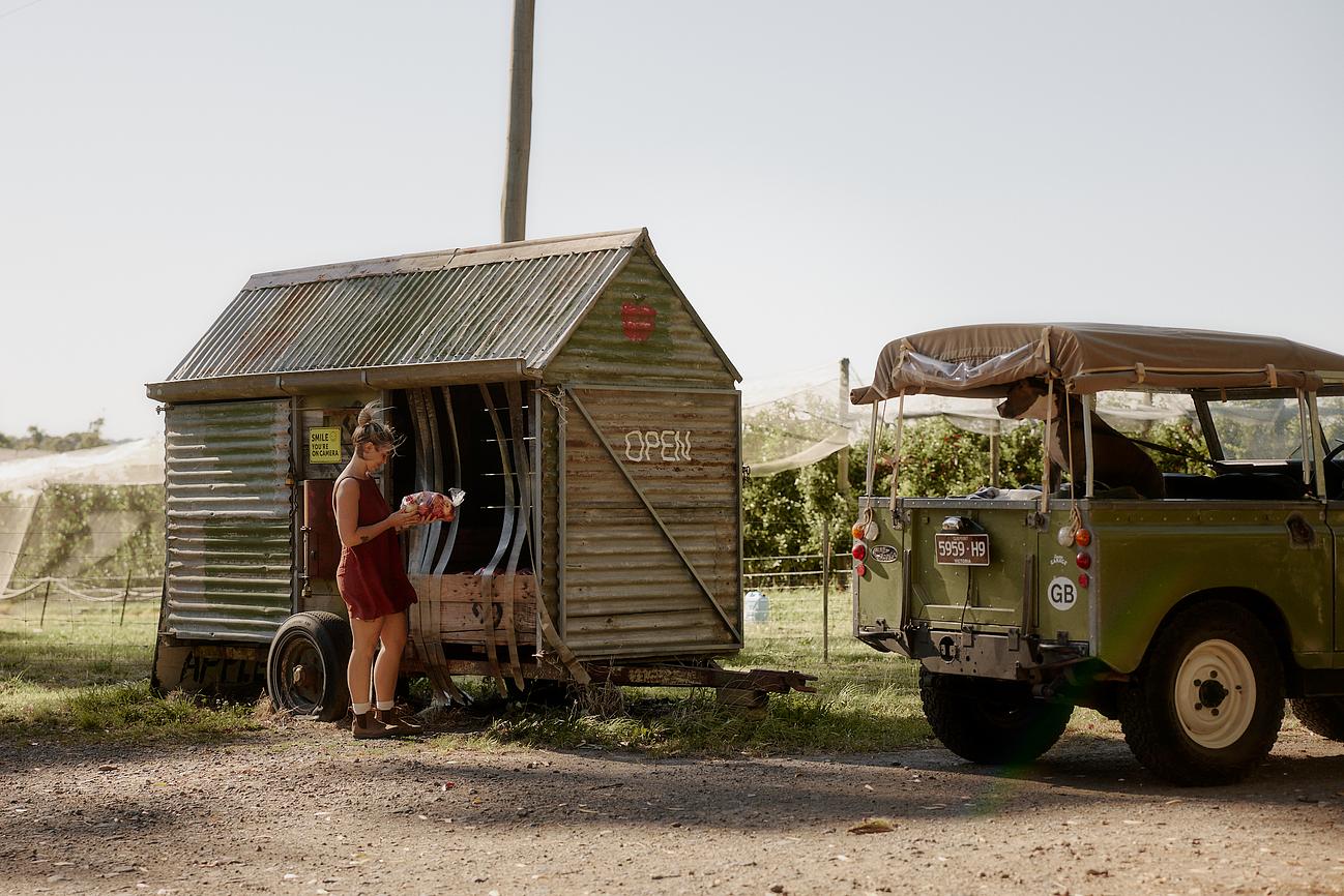 Roadside fresh fruit stalls | Riparide