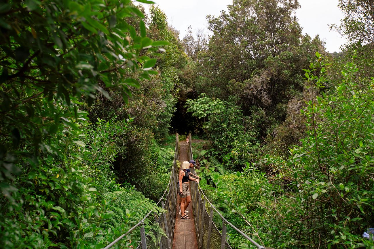 Swing Bridge Nature Walk | Riparide