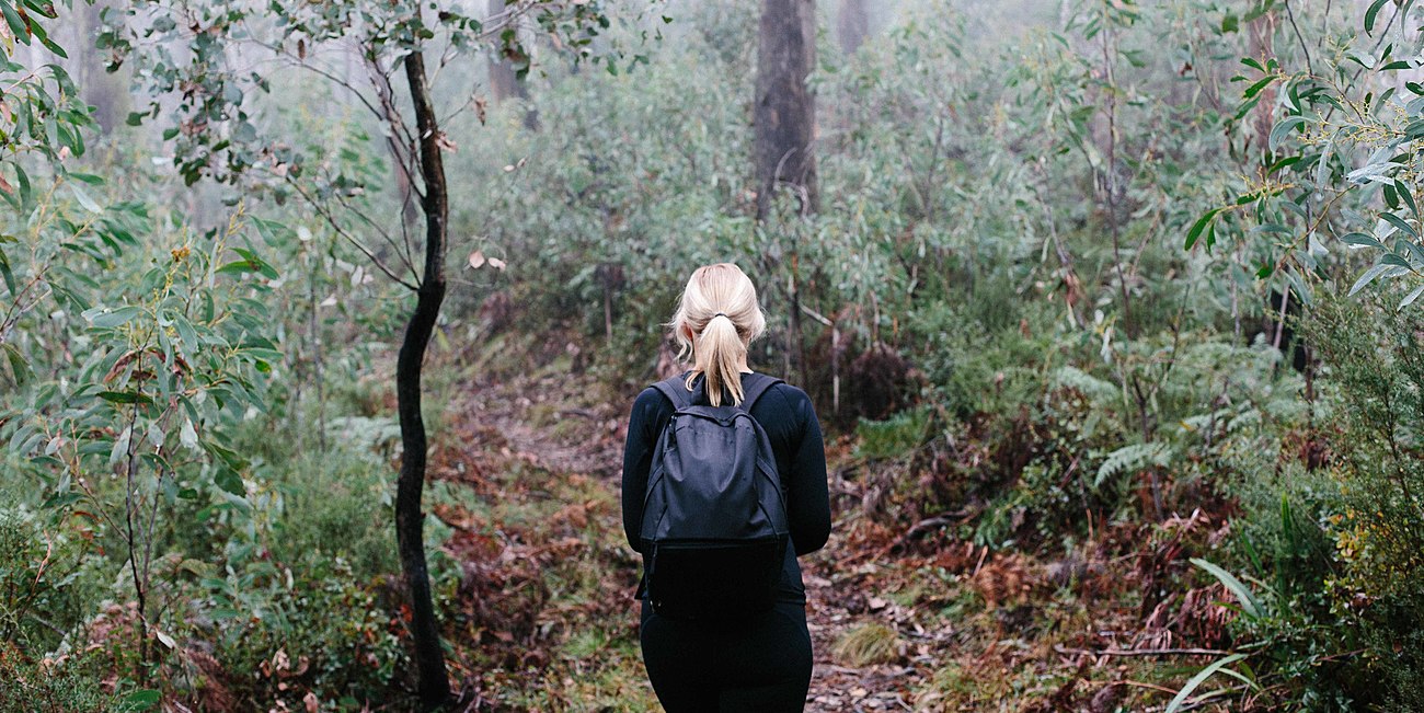 Hiking the High Country - Adventure by Kelly in Harrietville, High Country, VIC, AU | Riparide