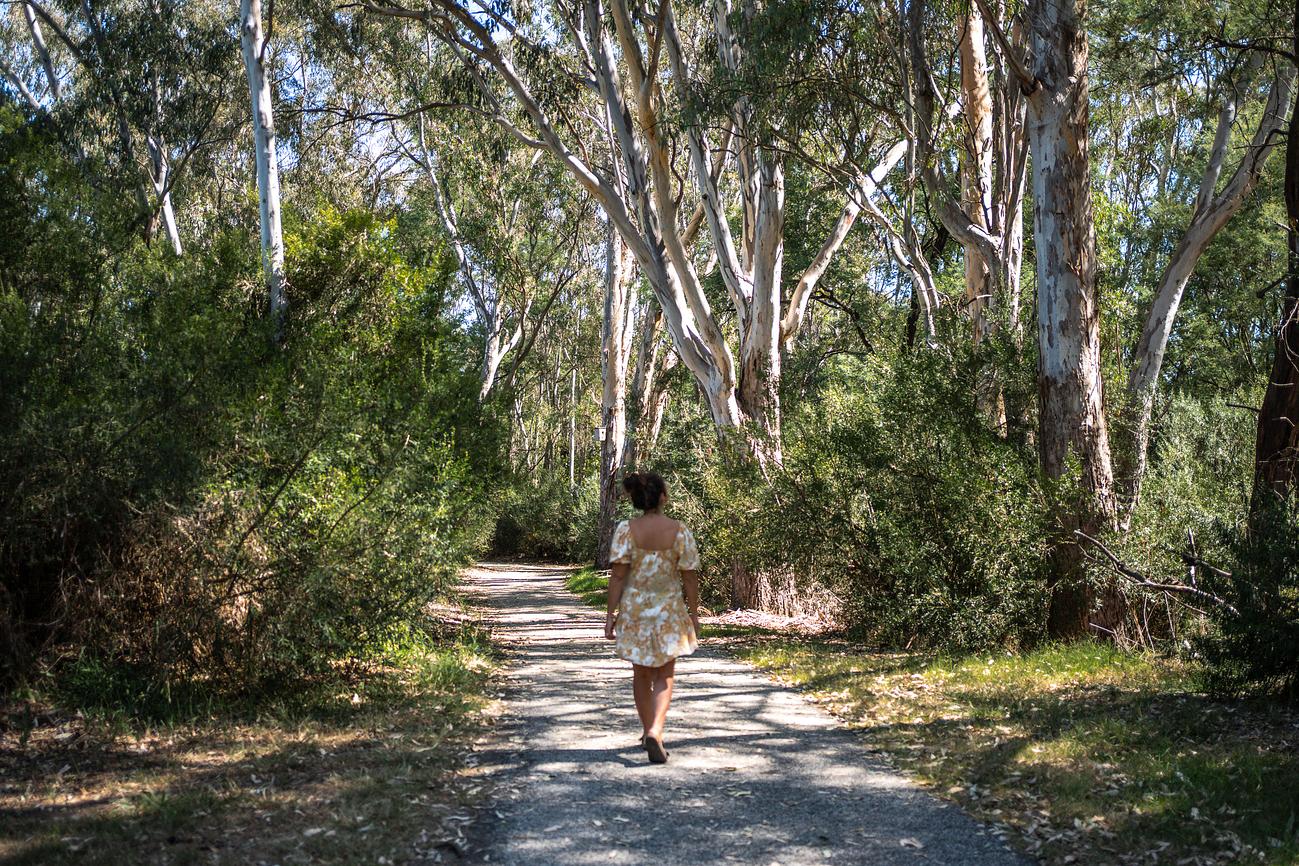 Explore the cute town of Myrtleford | Riparide